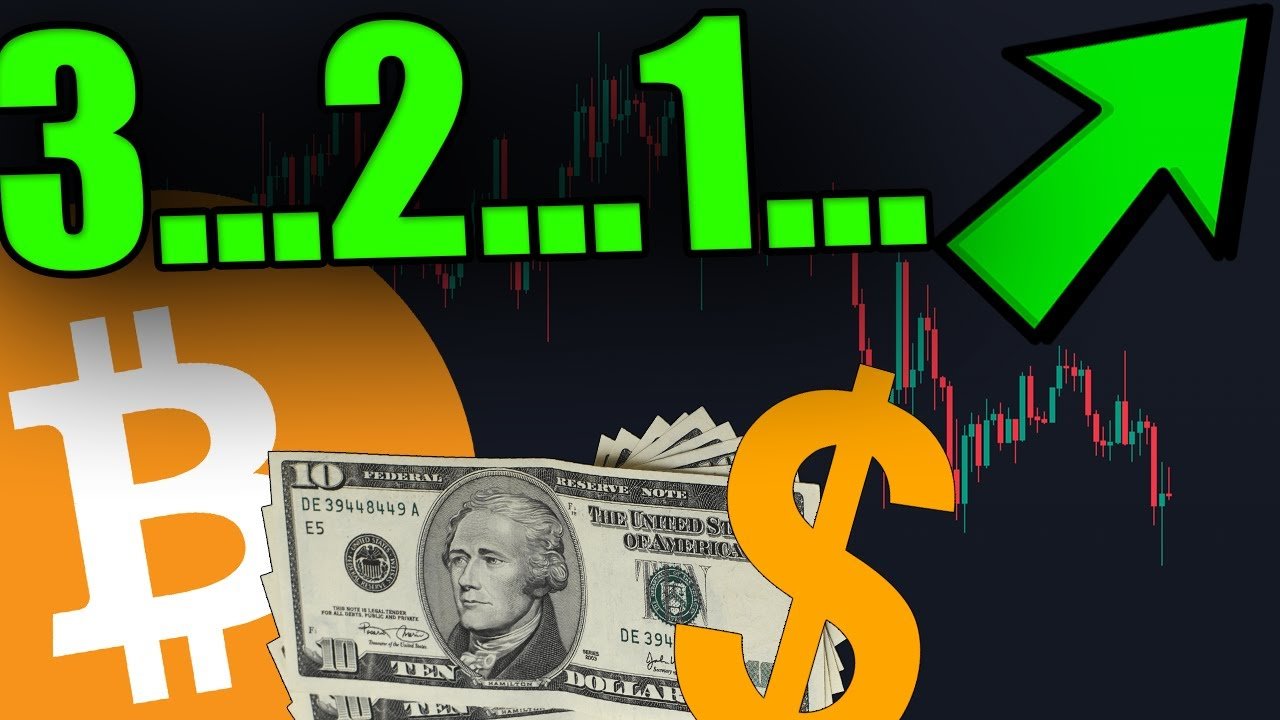 BITCOIN HOLDERS... THIS SHOCKING DATA CHANGES EVERYTHING ...